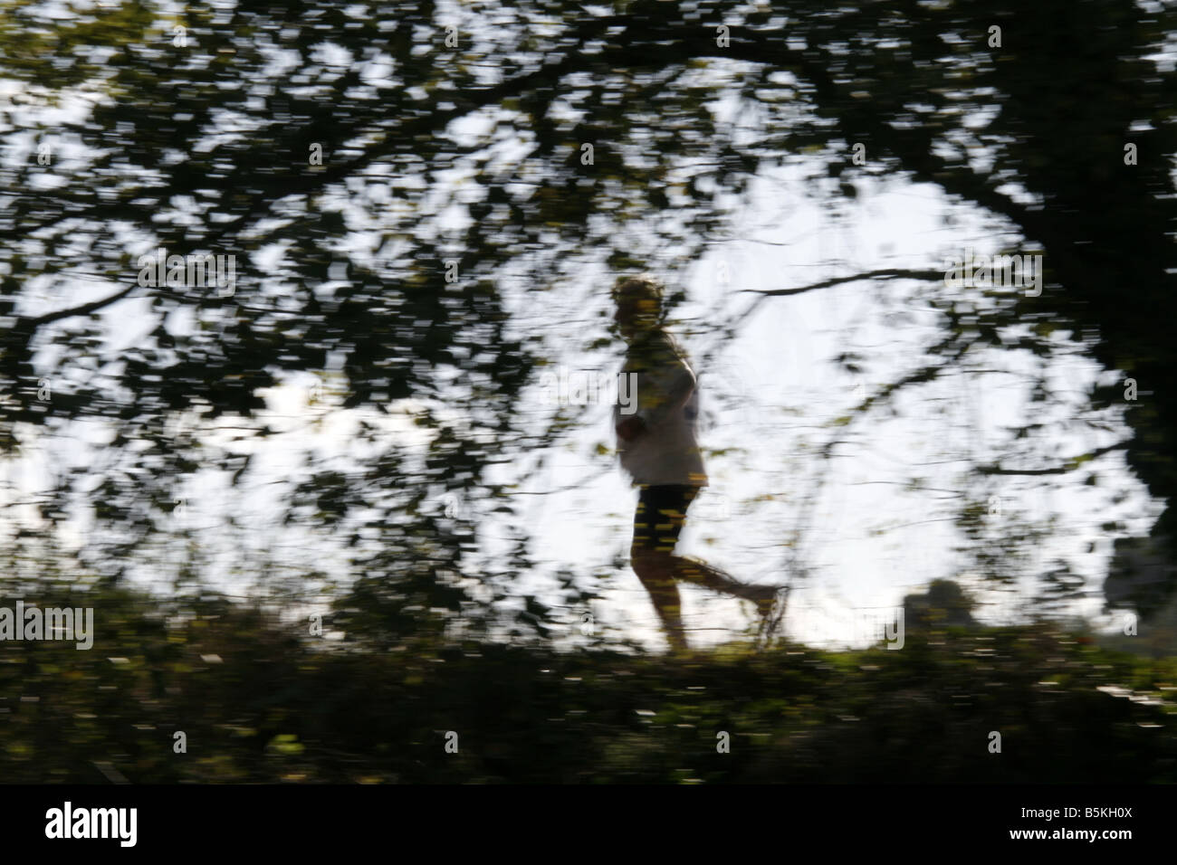 silhouette lonely runner in woods Stock Photo - Alamy