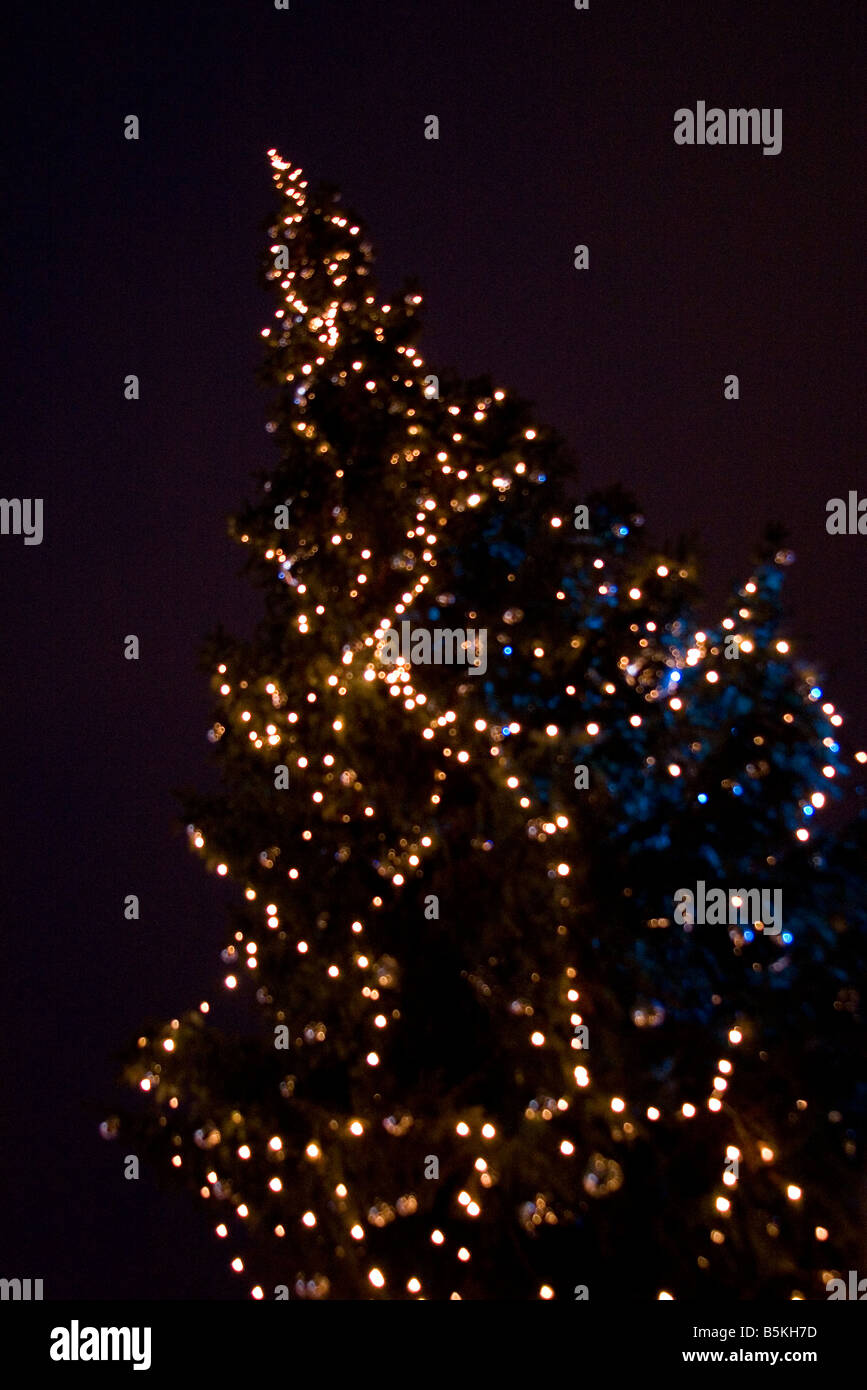 Christmas lights on a tree sparkling Stock Photo - Alamy