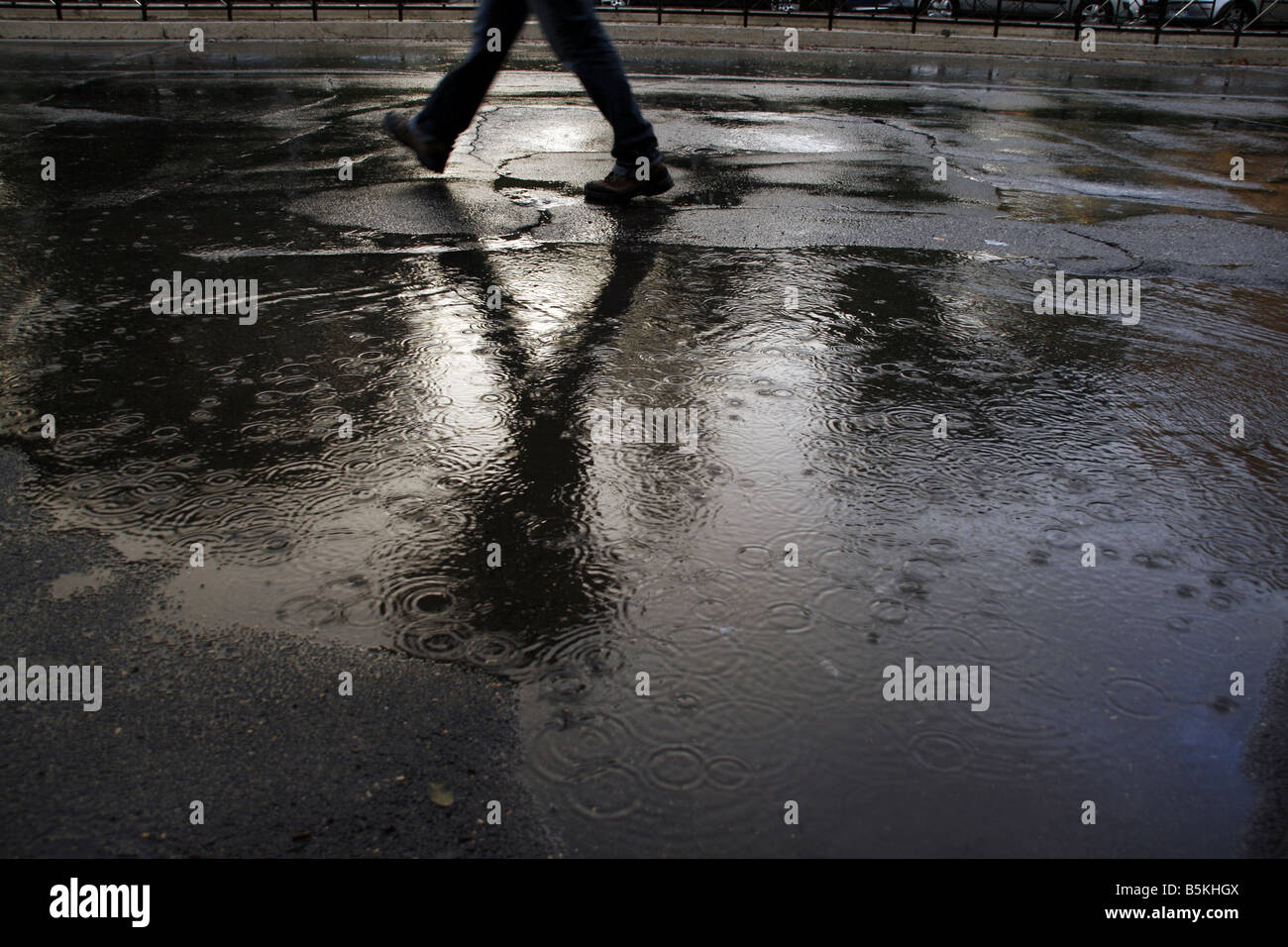lots rain drops falling in water puddle in street Stock Photo - Alamy