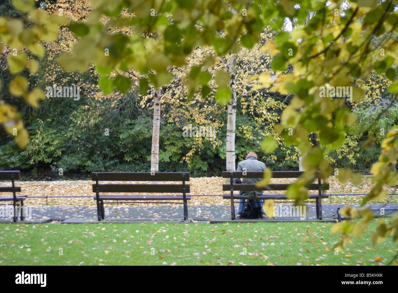 Lone man sitting on a bench in a park Stock Photo - Alamy