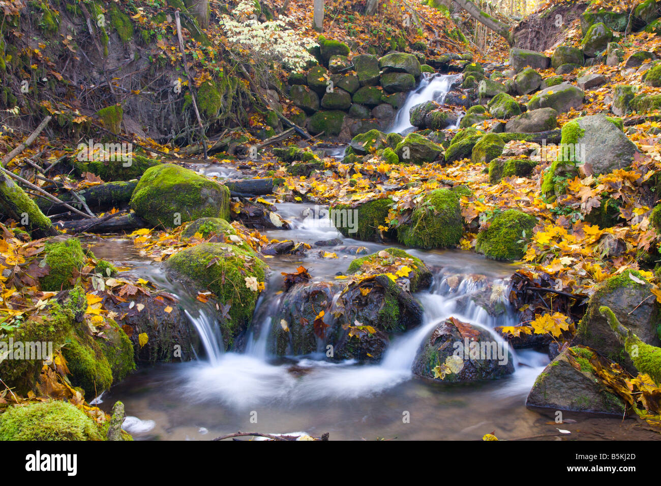 Cascade fall autumn river hi-res stock photography and images - Alamy