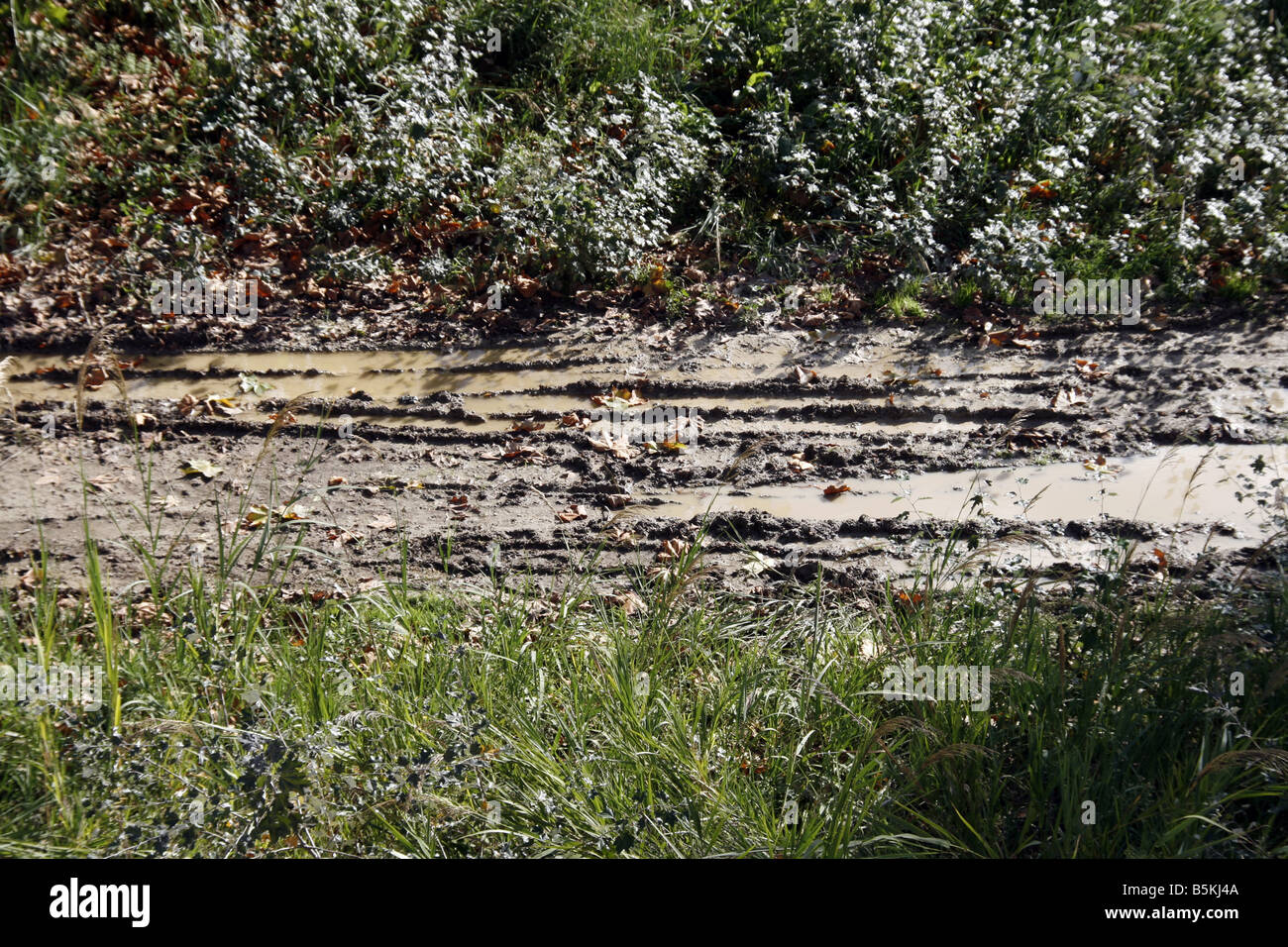 Driving on muddy tracks hi-res stock photography and images - Alamy