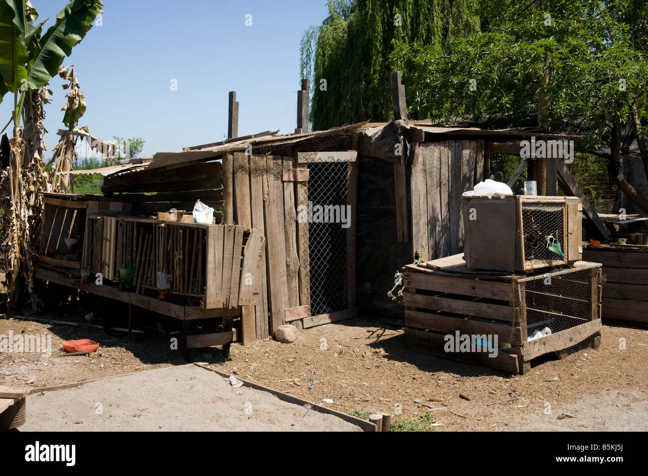 Chicken coup hi-res stock photography and images - Alamy
