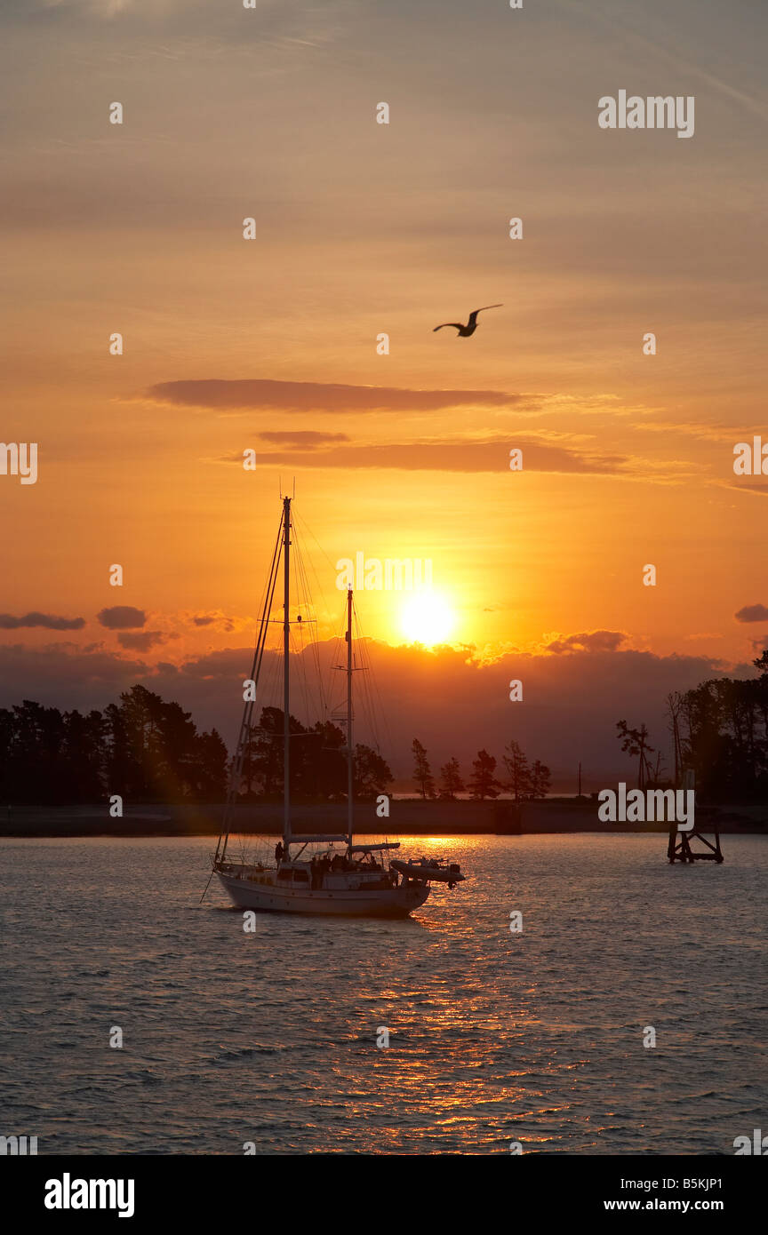 Yacht and Haulashore Island at Sunset Nelson South Island New Zealand ...