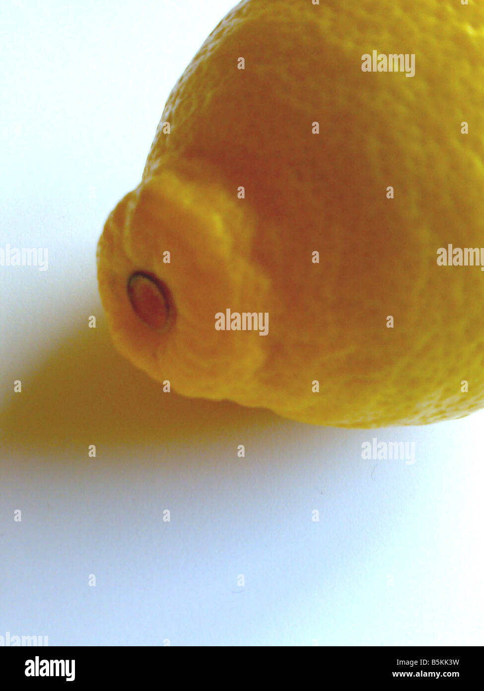 lemon cooking sharp yellow acid citric citrus garnish dressing flavour ...