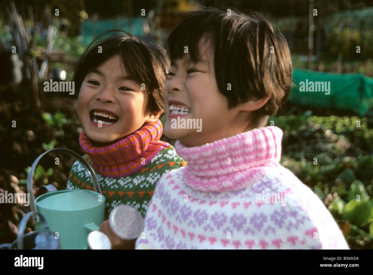 Twin Chinese girls laughing and giggling in allotments Stock Photo - Alamy