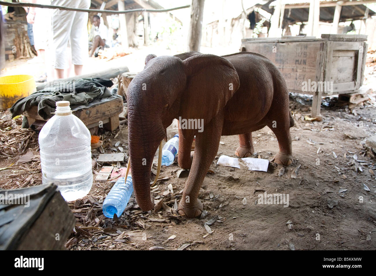 Carvings at the Akamba Handcraft Co-op Society, Mombasa, Kenya Stock ...