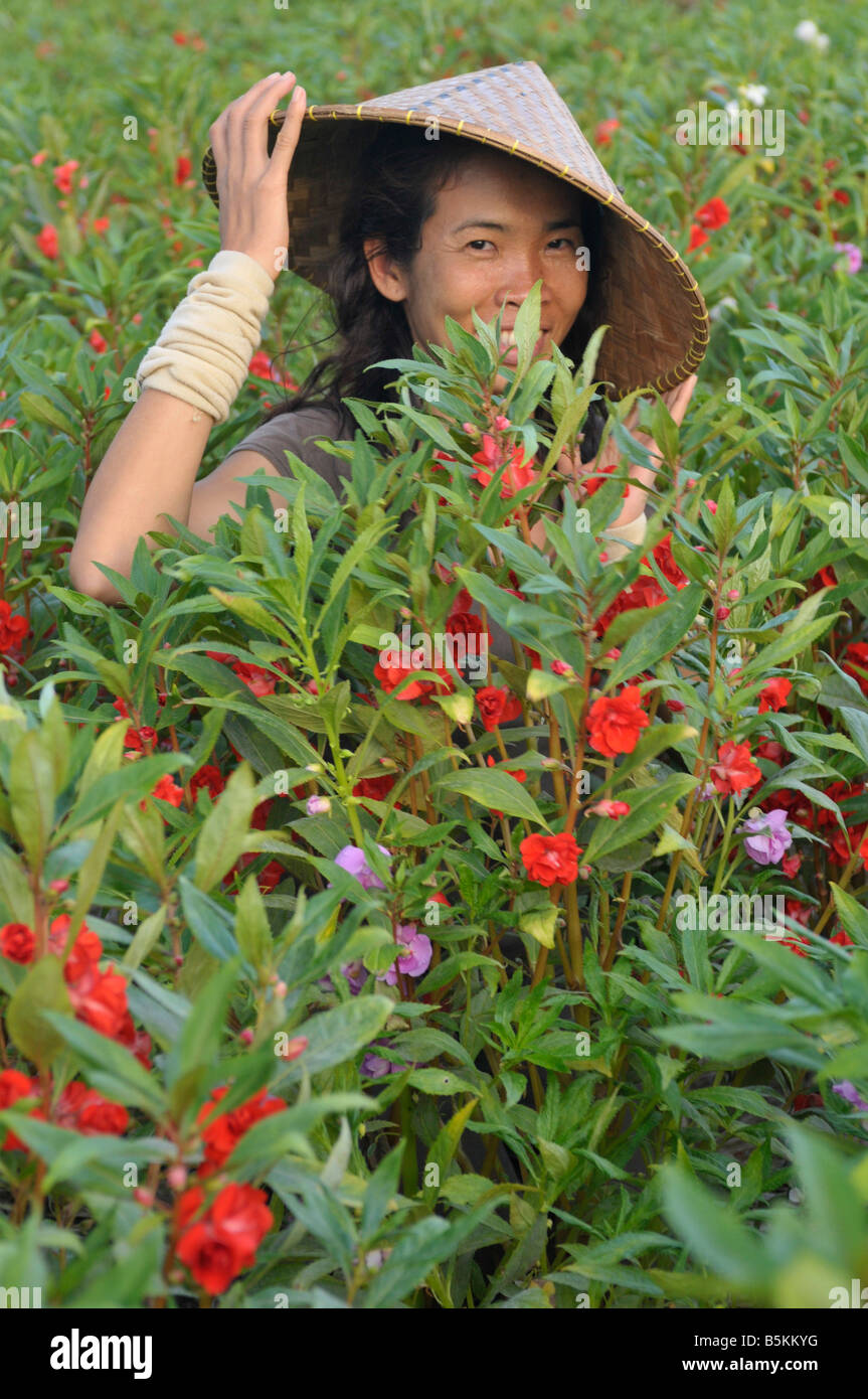 Flower farm, Bali,Indonesia Stock Photo - Alamy