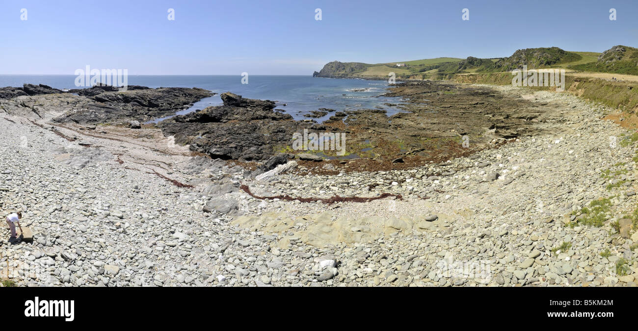 The south west devon coast path at prawle point Stock Photo - Alamy