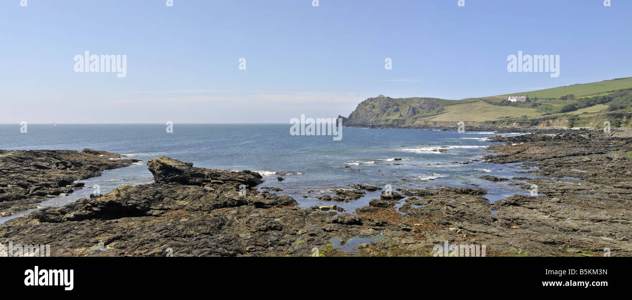 The south west devon coast path at prawle point Stock Photo - Alamy