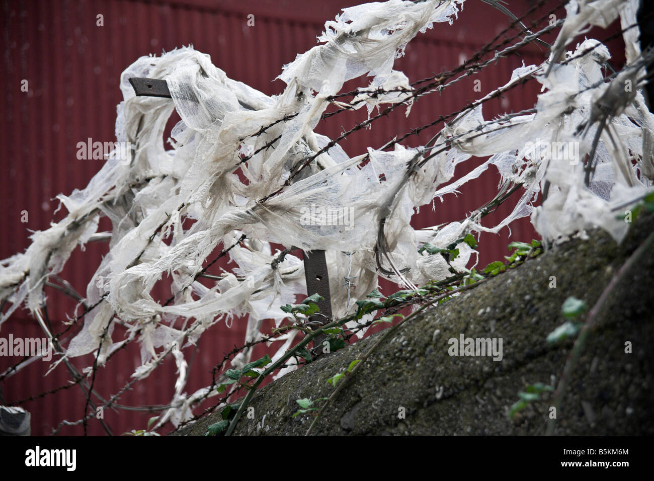 Plastic bag blowing in wind hi-res stock photography and images - Alamy