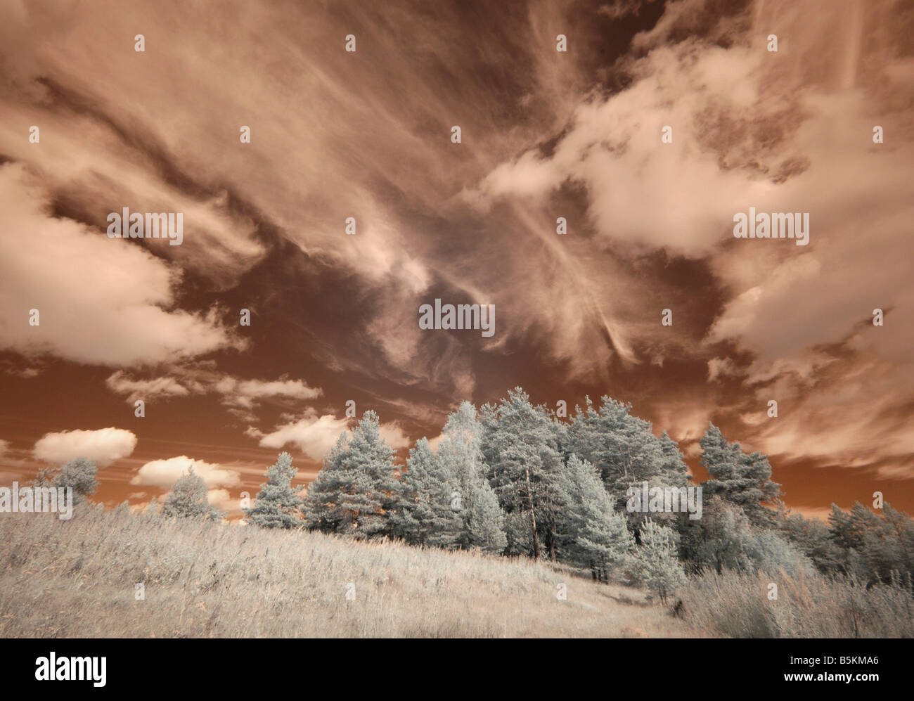 Pure infrared hi-res stock photography and images - Alamy