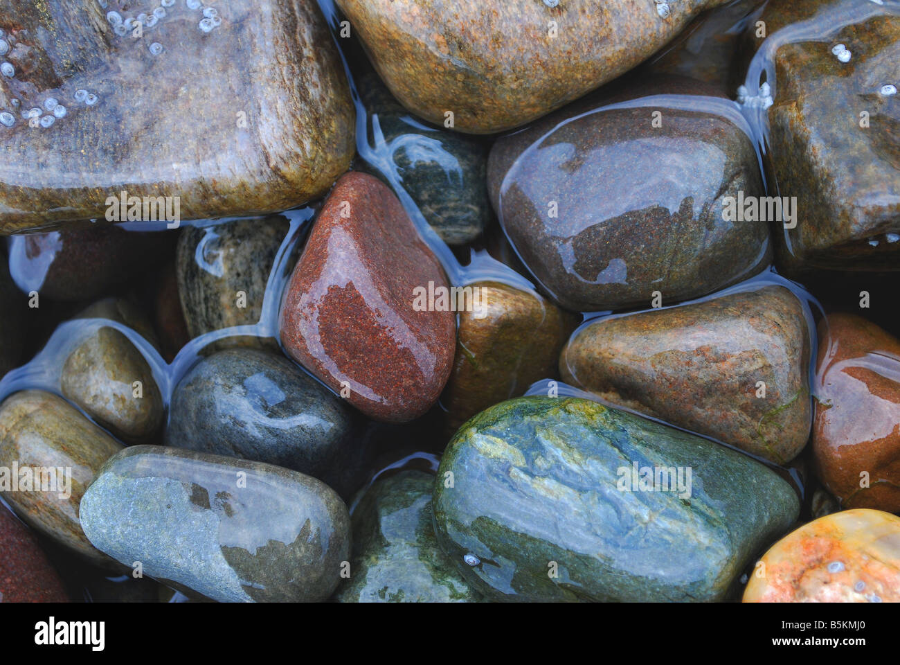 Stones in the water Stock Photo - Alamy
