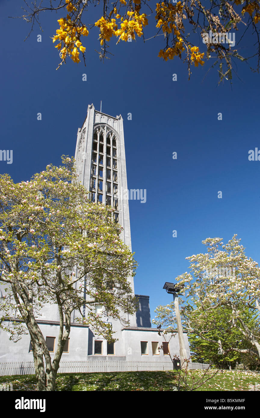 Tree church new zealand hi-res stock photography and images - Alamy