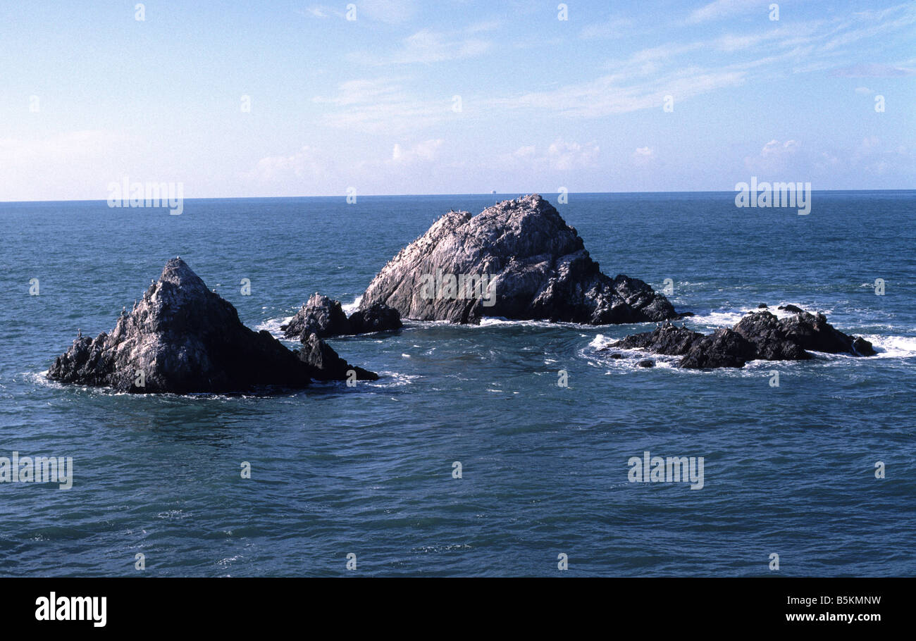 Seal Rocks San Francisco California USA Stock Photo - Alamy