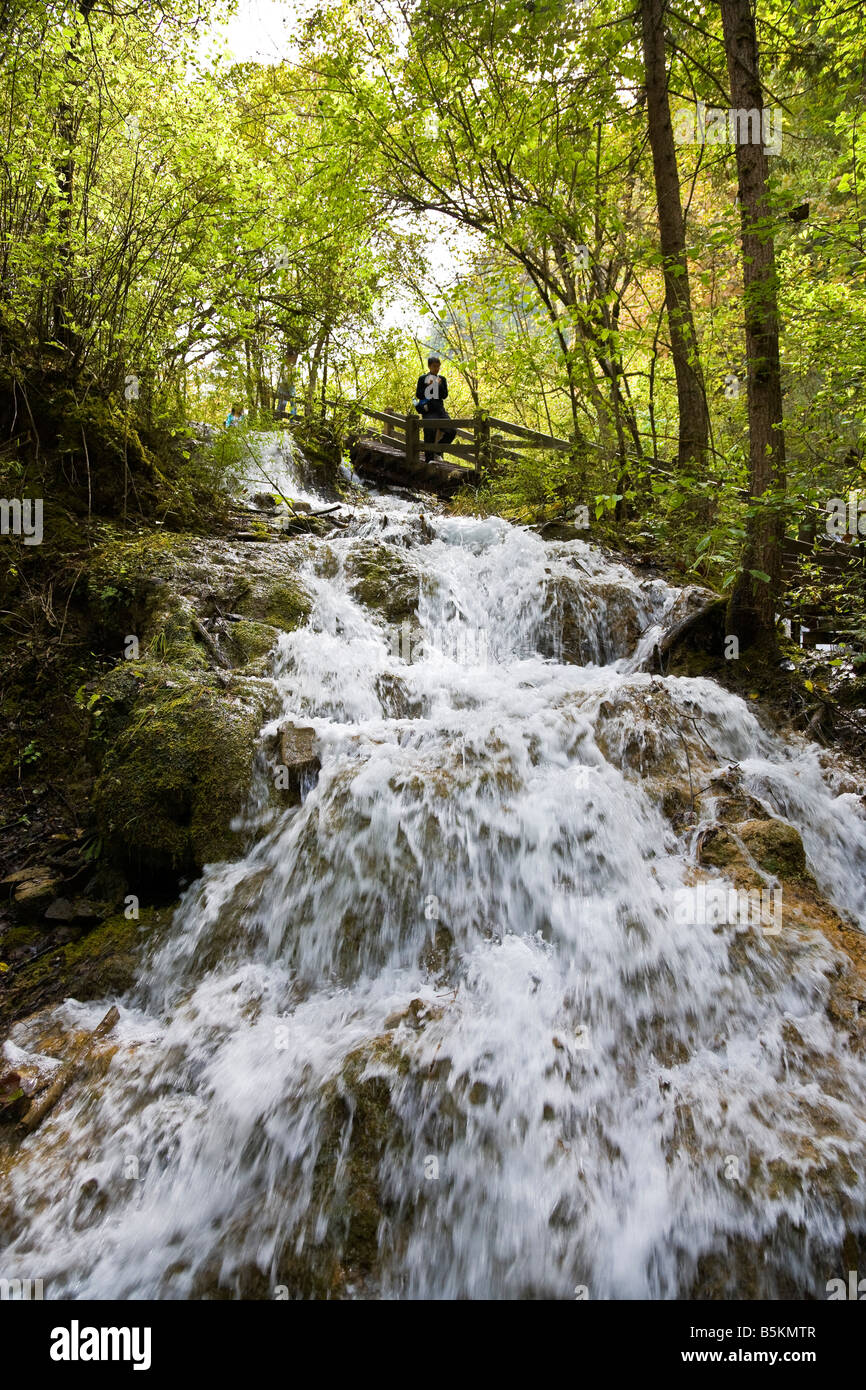 Panda waterfall hi-res stock photography and images - Alamy
