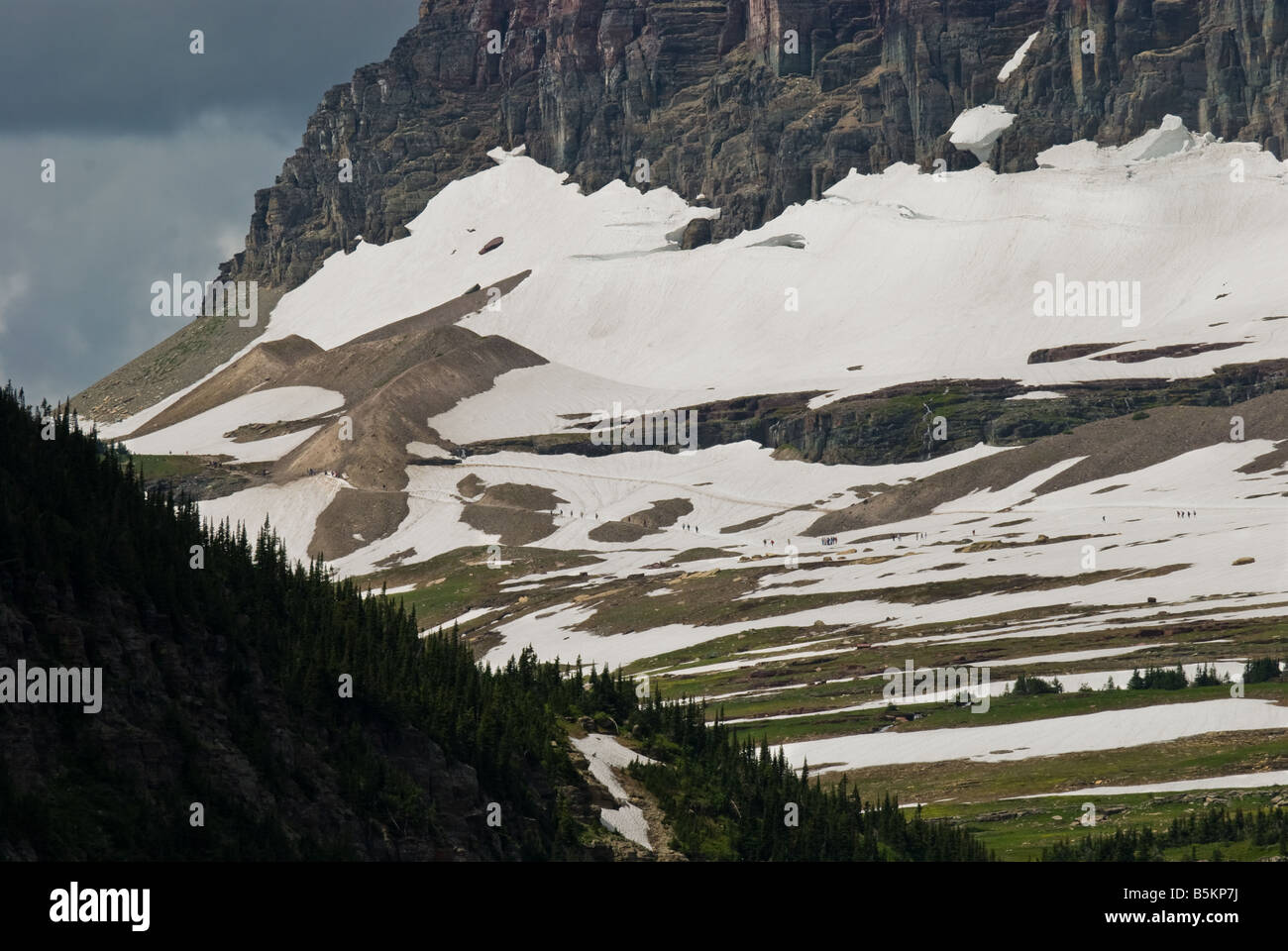 Alpine zone hi-res stock photography and images - Alamy