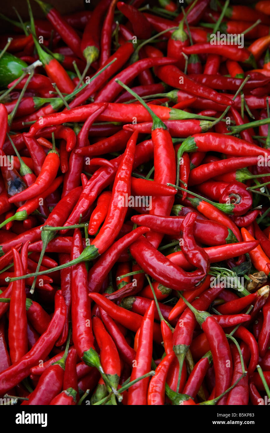 Spicy Hot Red Cayenne Chili Peppers Stock Photo - Alamy