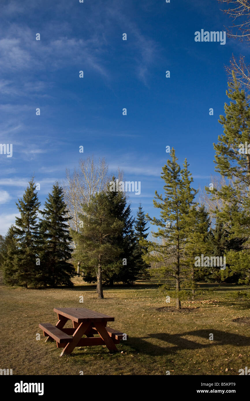 Picnic table in a park Stock Photo - Alamy