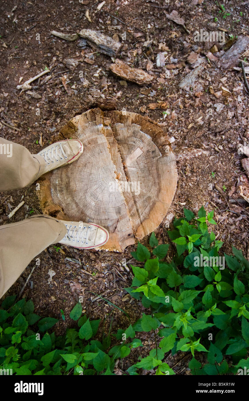 Close up of a man s feet standing on a tree stump MODEL RELEASED Stock ...