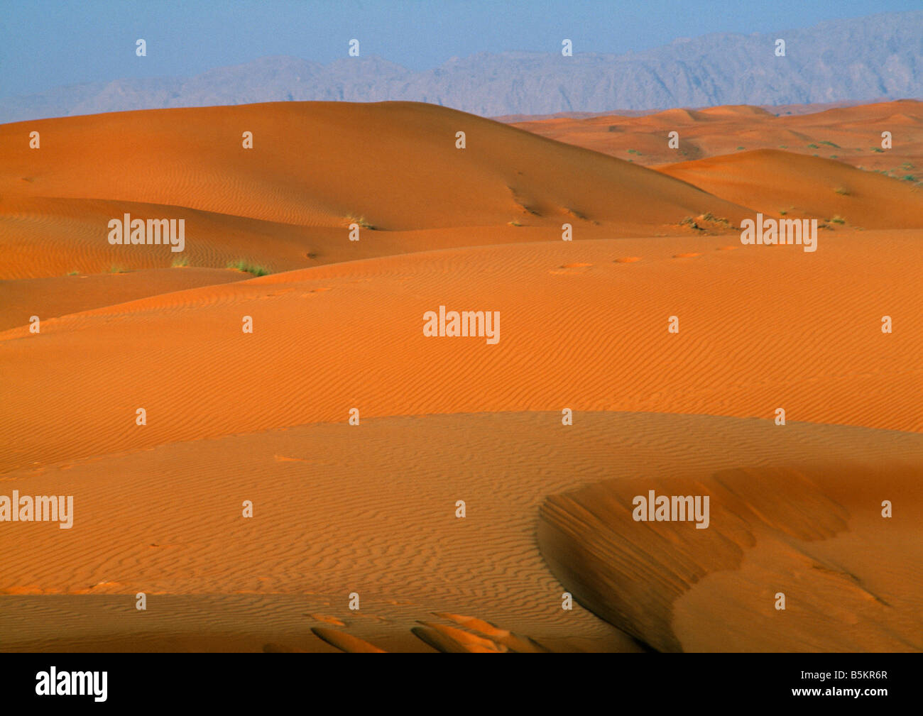 Abu Dhabi UAE Desert Near Al Ain Red Dunes Stock Photo - Alamy