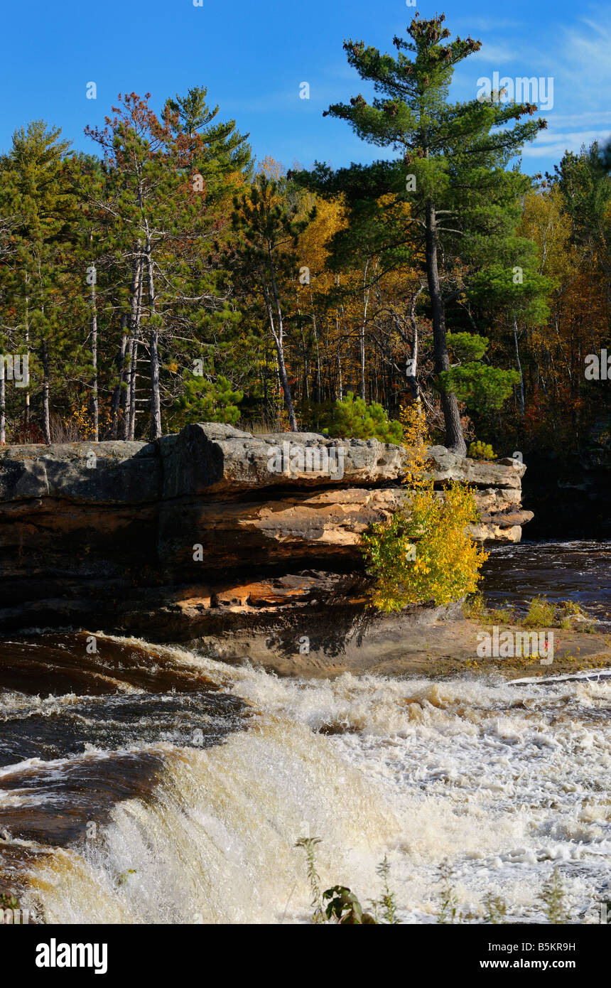 Pine tree on a rock outcrop at waterfalls on Kettle River Sandstone ...