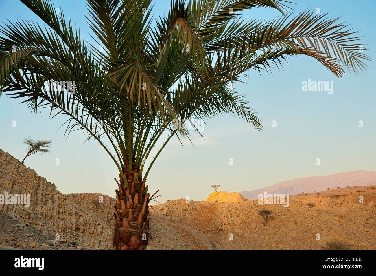 Khatt hot springs hi-res stock photography and images - Alamy