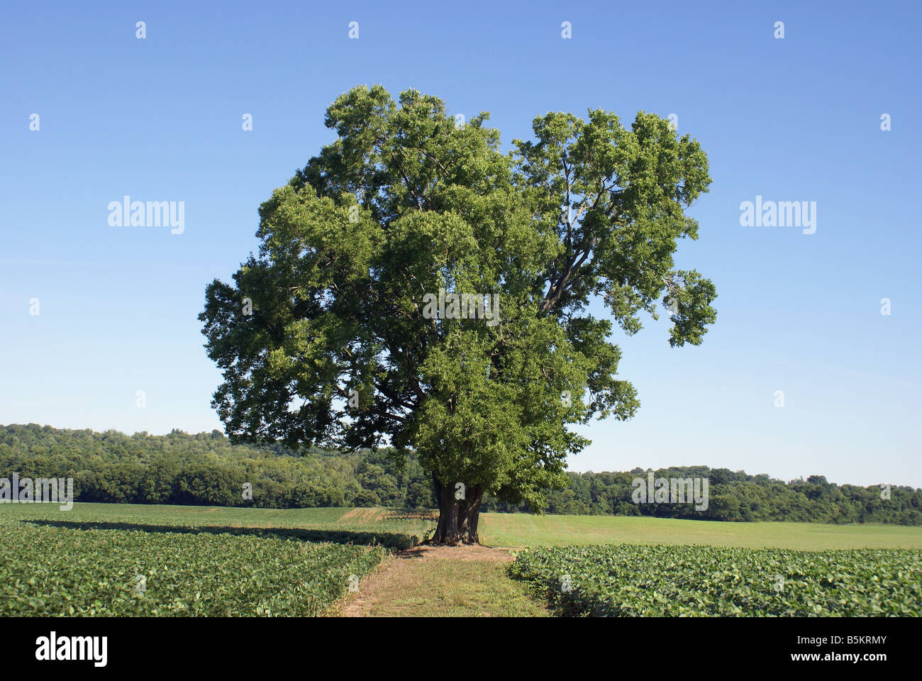 Remaining last rural country countryside hi-res stock photography and ...