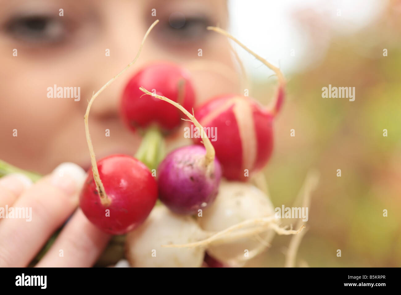 Raddish radish raddishes radishes vegetable vegetables food hi-res ...