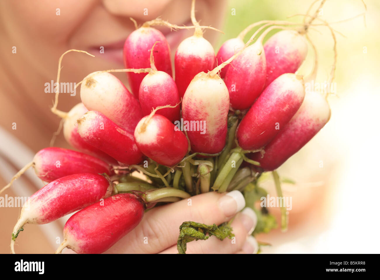 Raddish radish raddishes radishes vegetable vegetables food hi-res ...