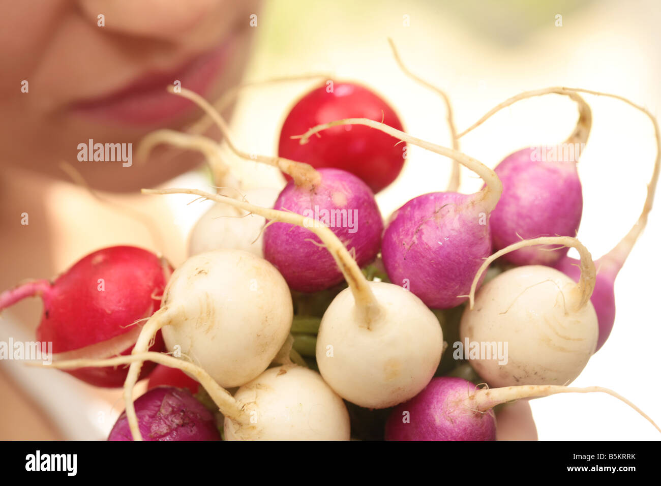 Raddish radish raddishes radishes vegetable vegetables food hi-res ...