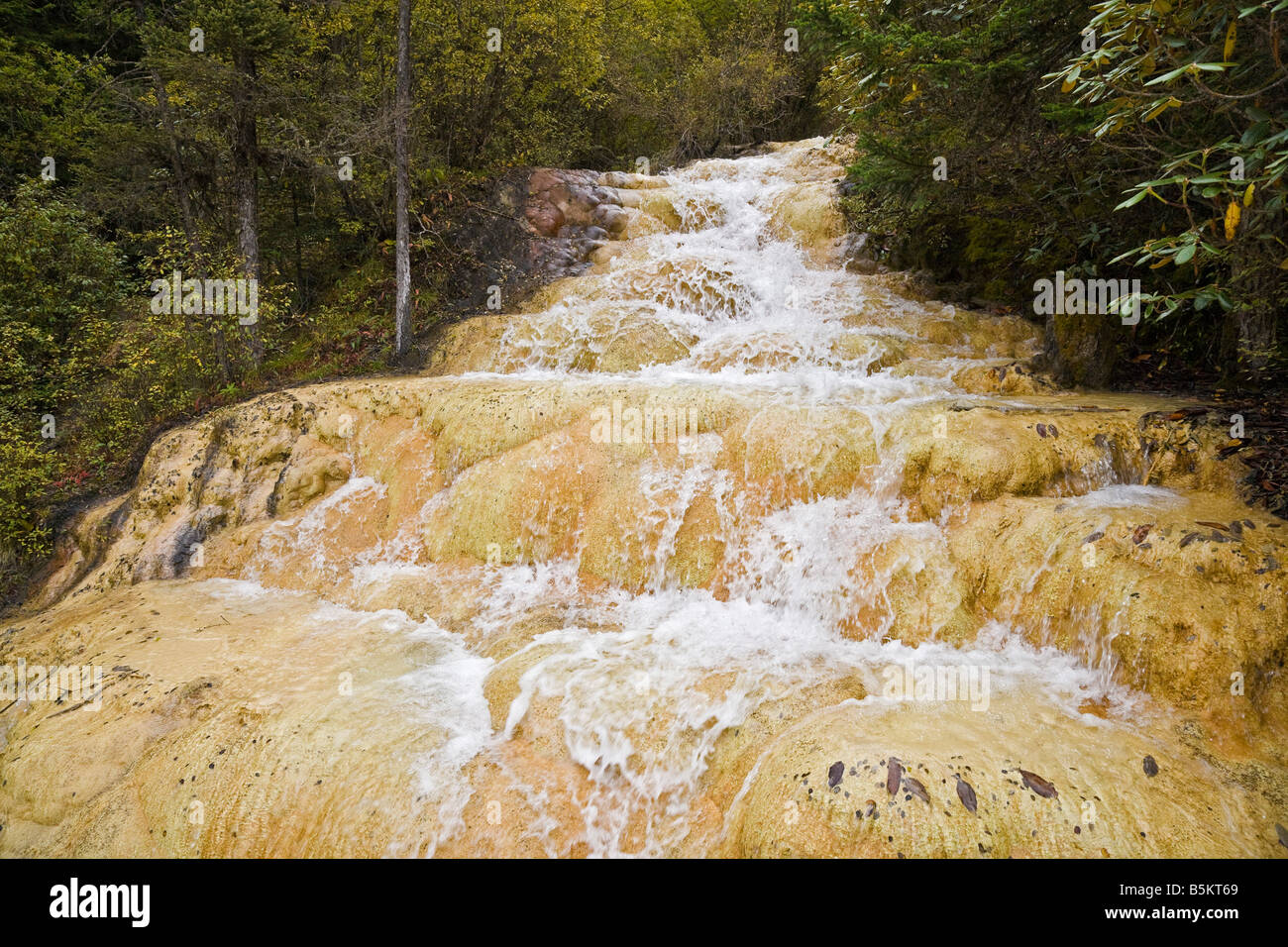 Travertine calcite calcified slope in Huanglong Sichuan Province China ...