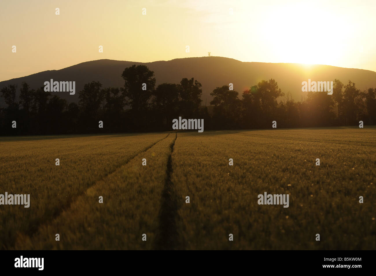 tractor signs in crop field Stock Photo - Alamy
