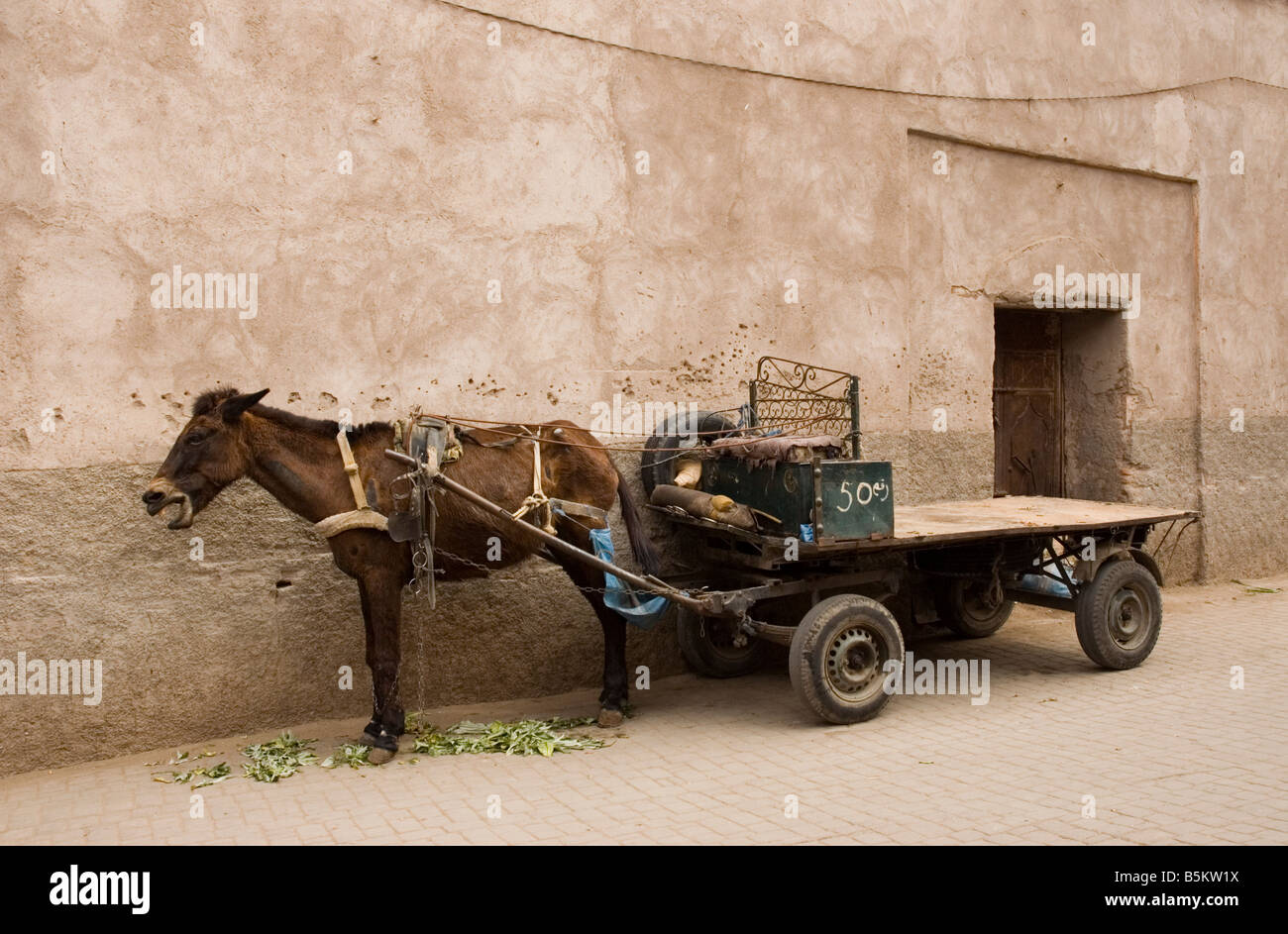 Donkey and Cart Stock Photo - Alamy