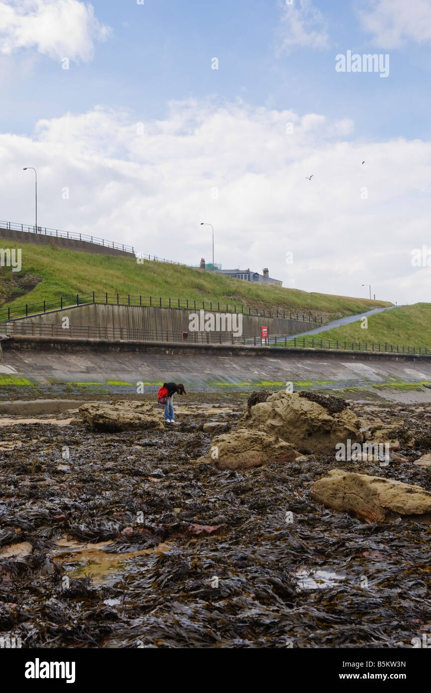 A muddy stretch of beach on the Coast near Tynemouth Stock Photo - Alamy