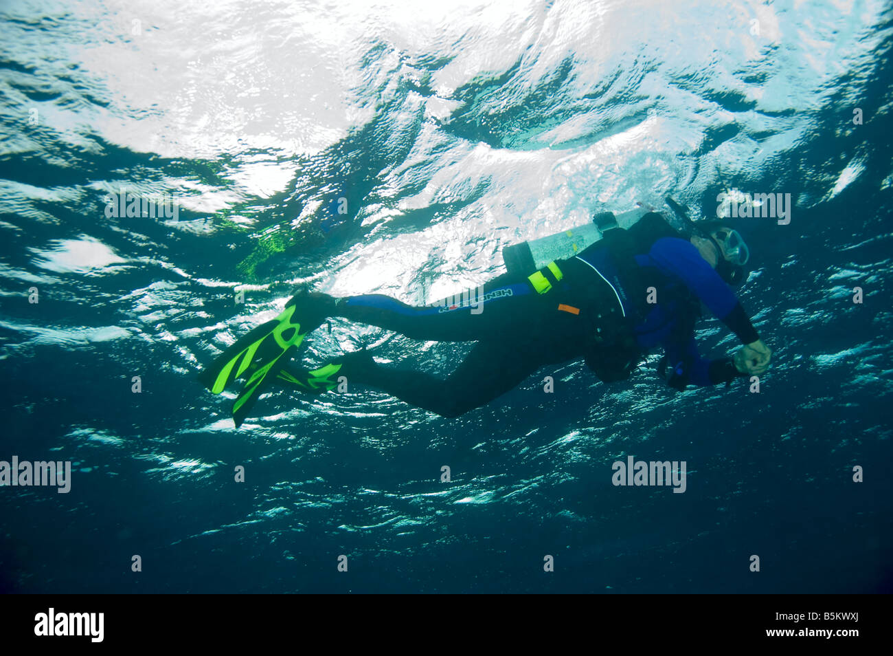 female scuba diver ascending to the surface Stock Photo - Alamy
