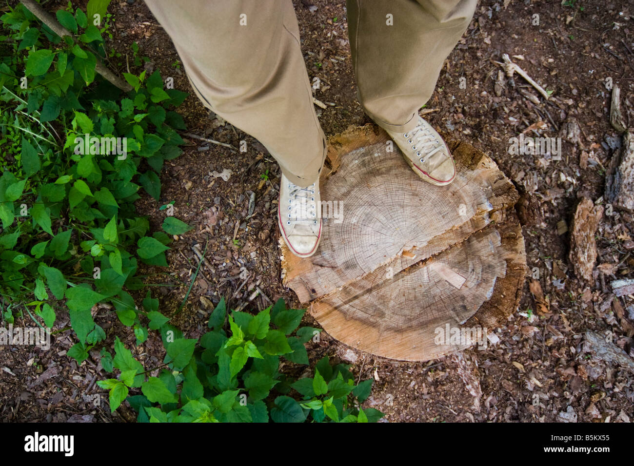 Close up of a man s feet standing on a tree stump MODEL RELEASED Stock ...