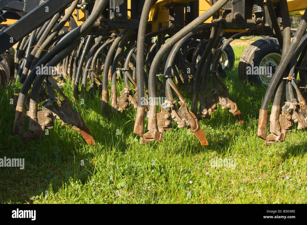 Seeding bar 15m wide Tungston tipped points open up trench for seed and ...
