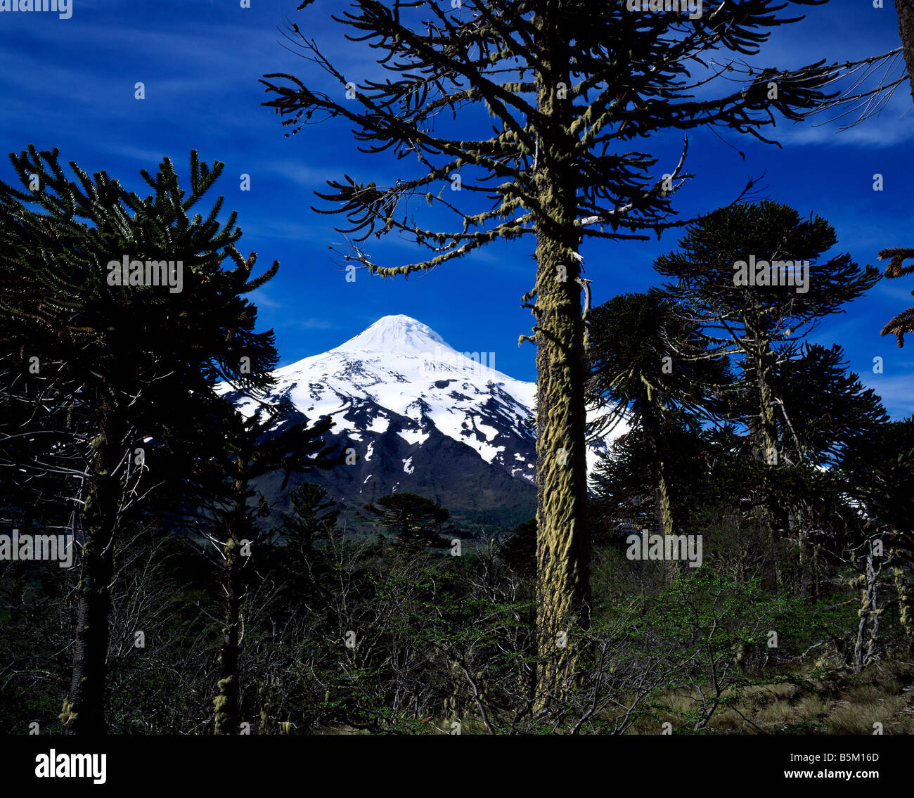Volcano Patagonia Chile Stock Photo - Alamy