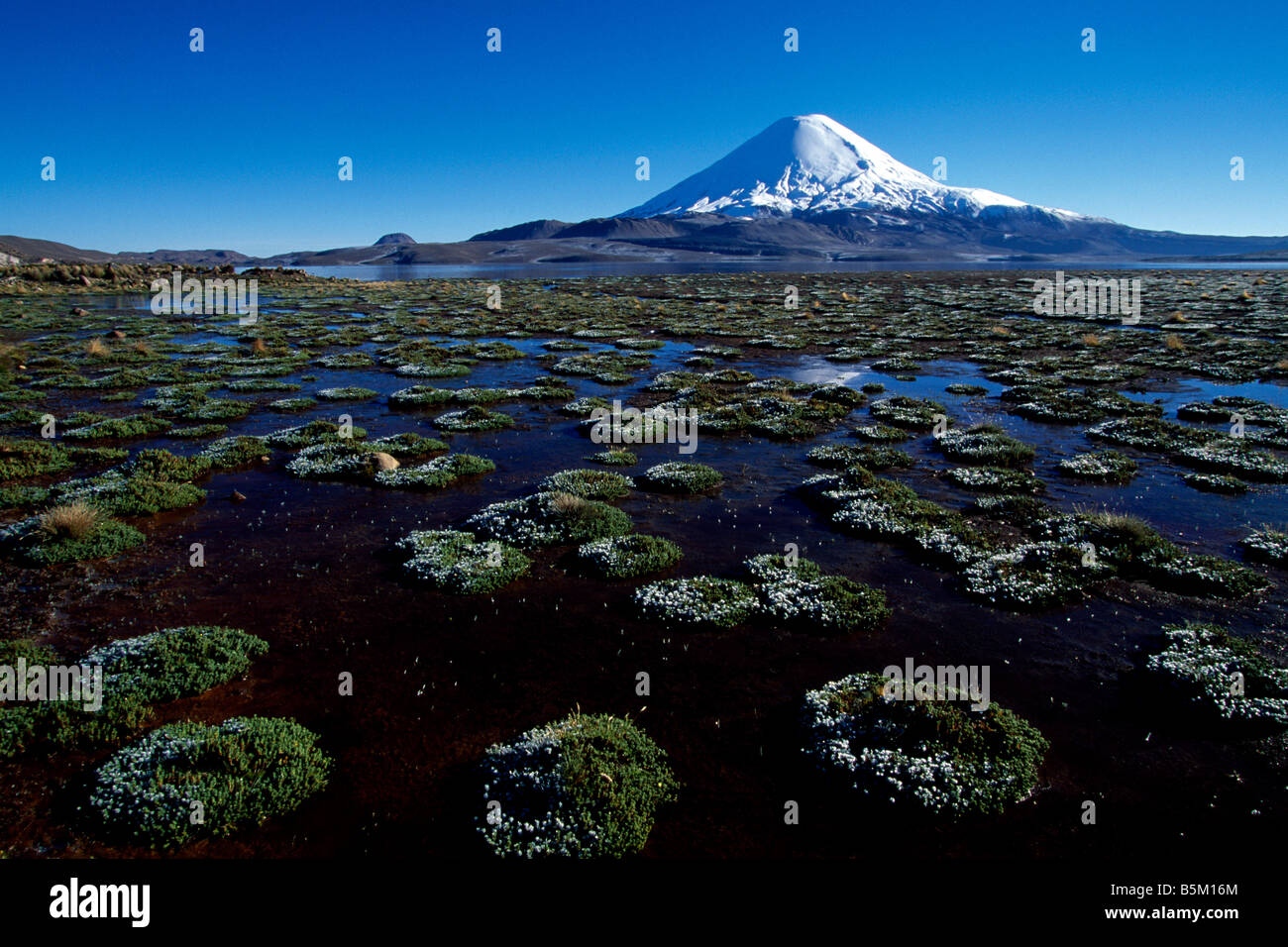 Volcano Parinacota Lauca National Park Chile Stock Photo - Alamy