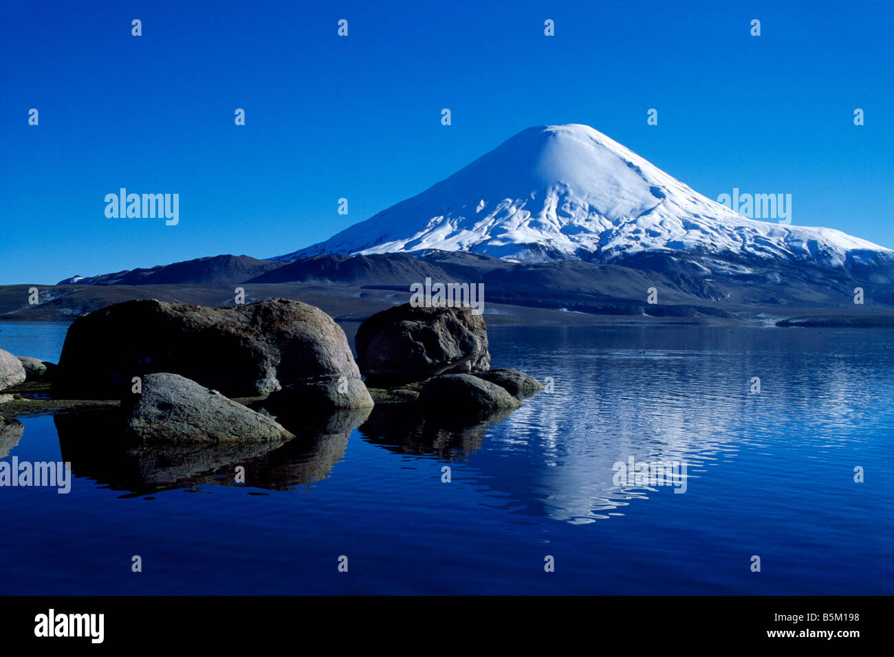 Lago chungara hi-res stock photography and images - Alamy