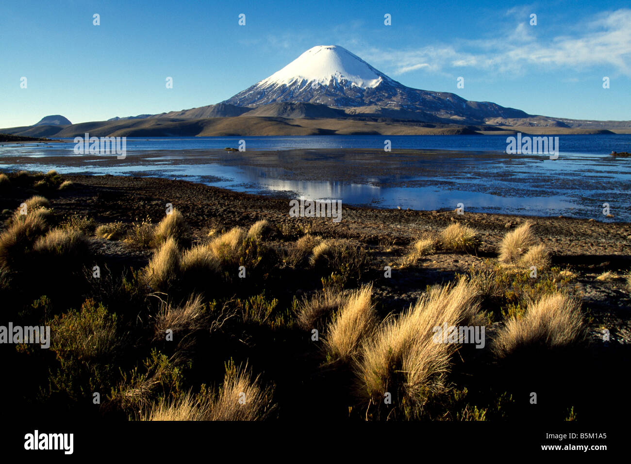 Volcano Parinacota Lauca National Park Chile Stock Photo - Alamy