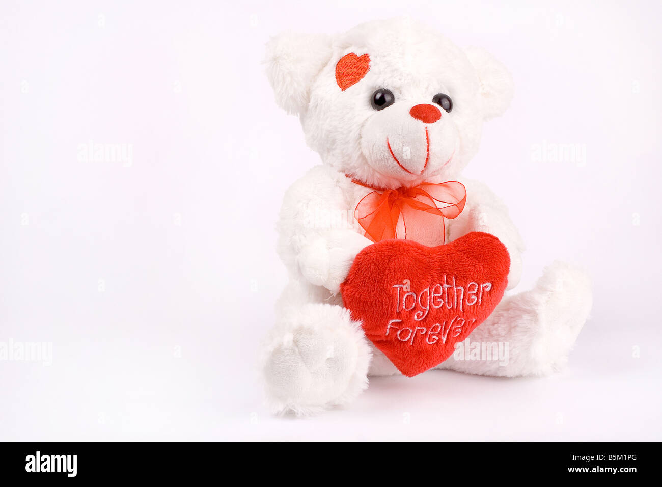 White bear isolated Cut Out Stock Images & Pictures - Alamy