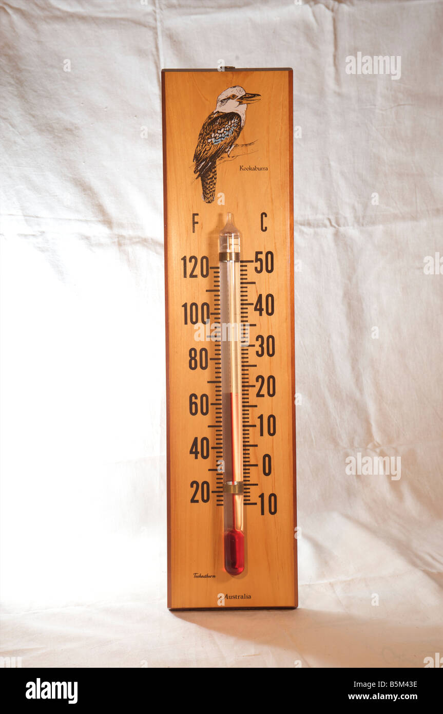 Celsius Only Thermometer