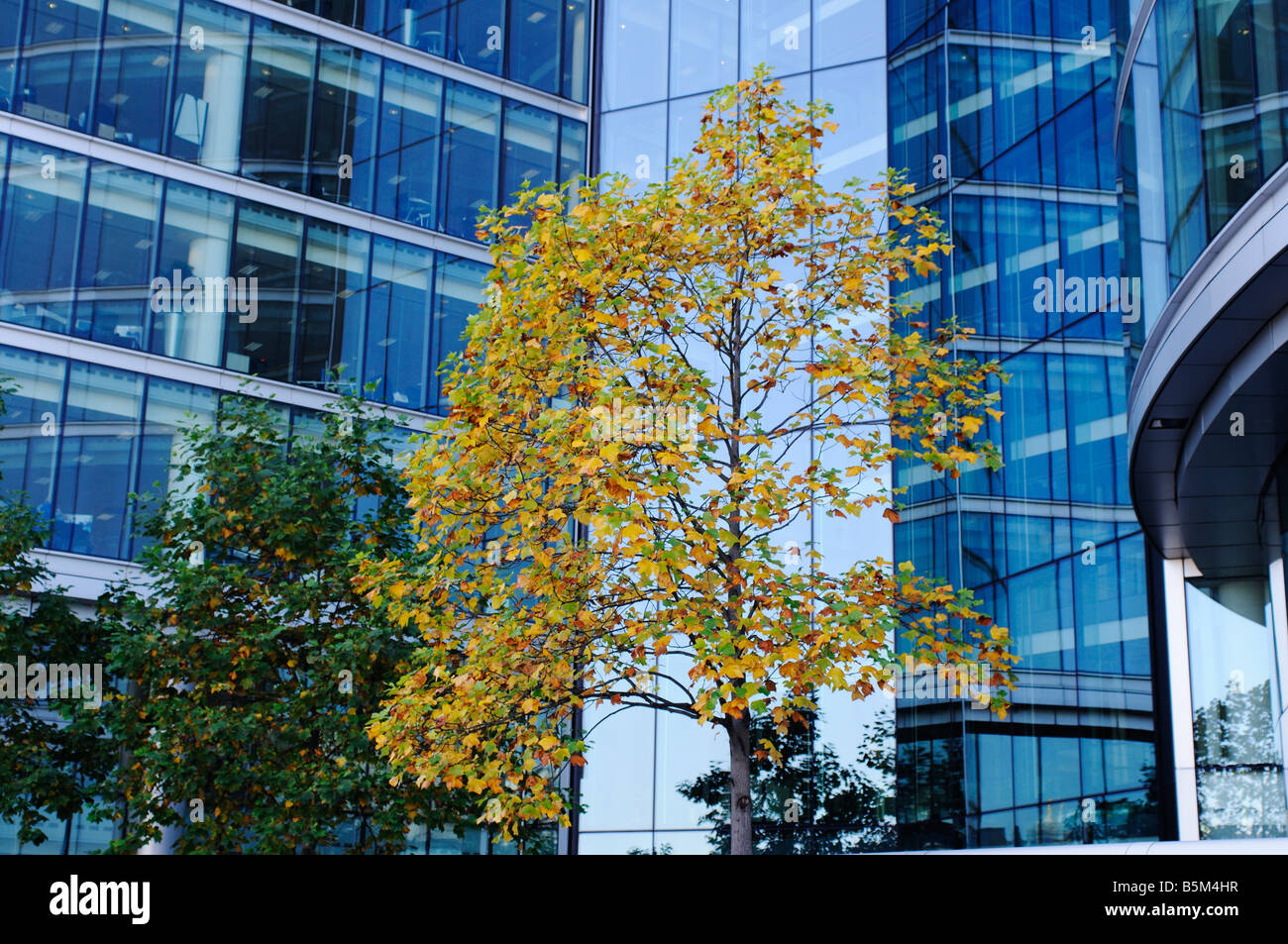 Coloured glass building hi-res stock photography and images - Alamy