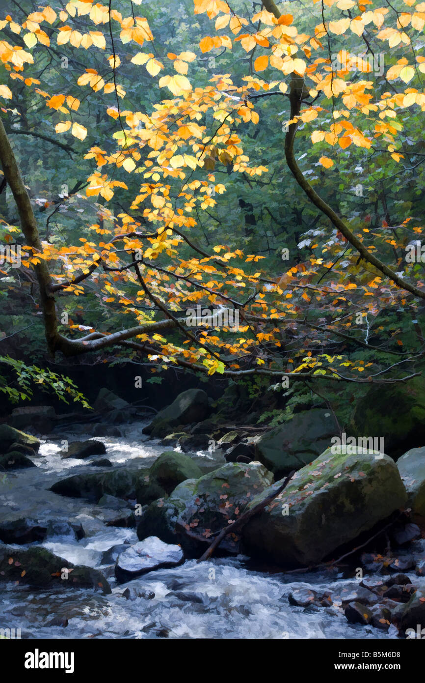 Impression of woodland hi-res stock photography and images - Alamy