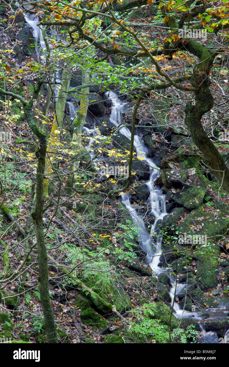 derbyshire waterfall in autumn woodland Stock Photo - Alamy