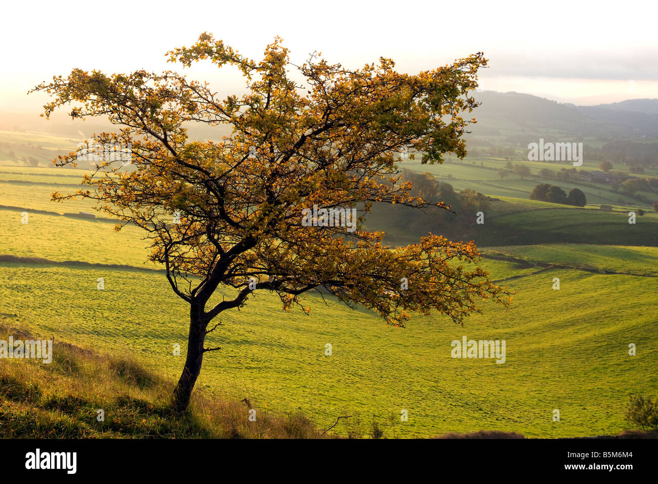 Longstone edge peak district hi-res stock photography and images - Alamy