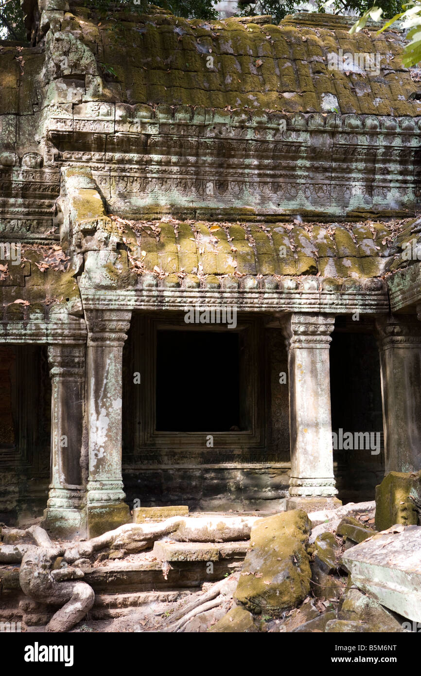 Inside the overgrown temple of Ta Prohm Temples of Angkor Siem Reap Cambodia Stock Photo - Alamy