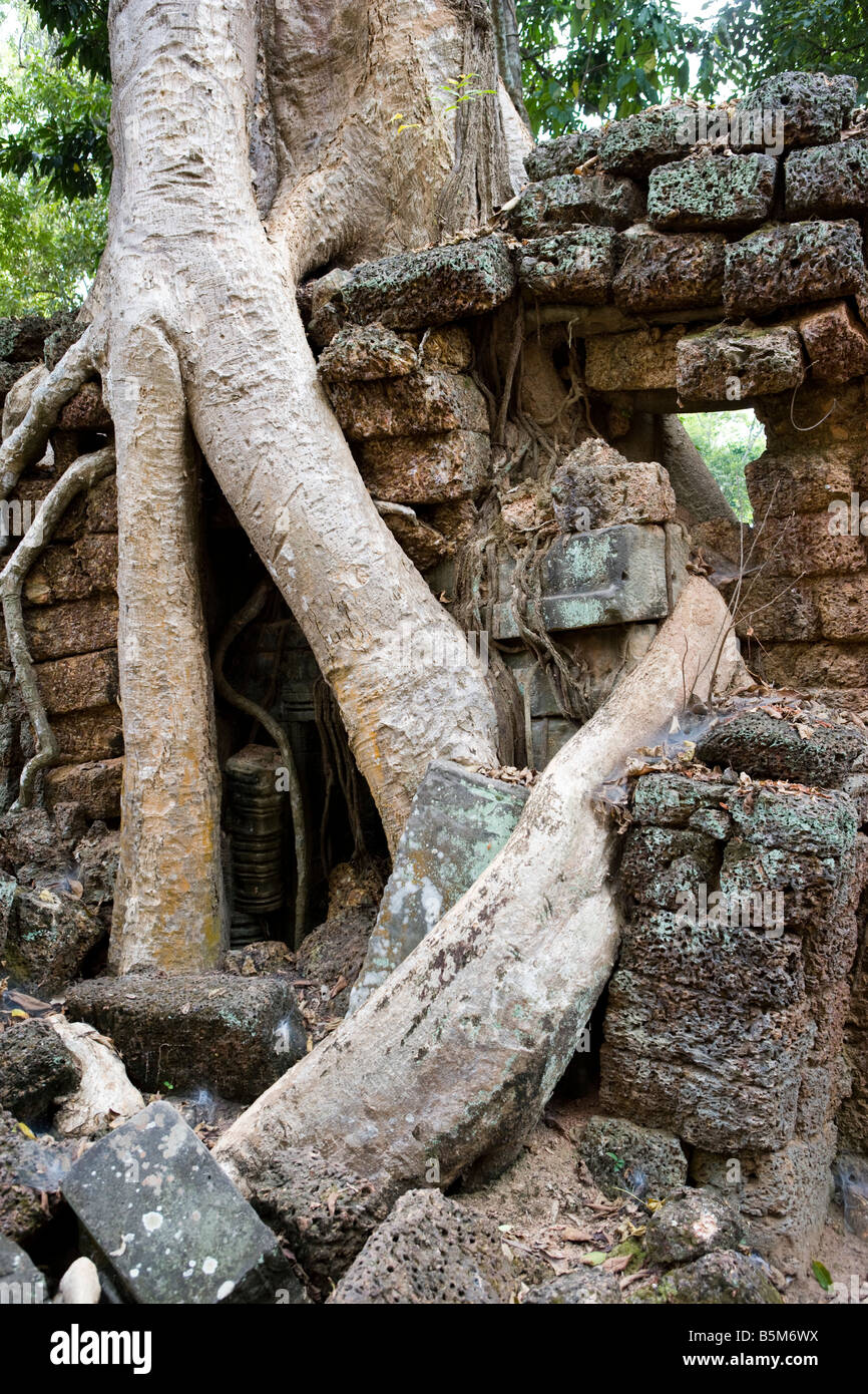 Inside the overgrown temple of Ta Prohm Temples of Angkor Siem Reap Cambodia Stock Photo - Alamy